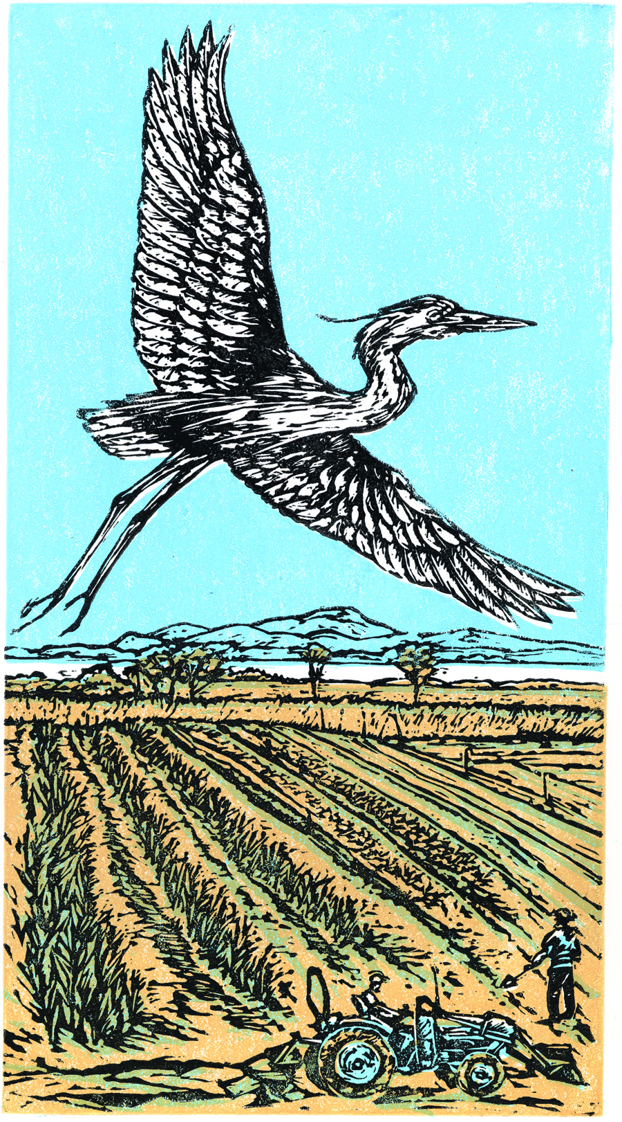 Our 22nd Year – Blue Heron Farm VT